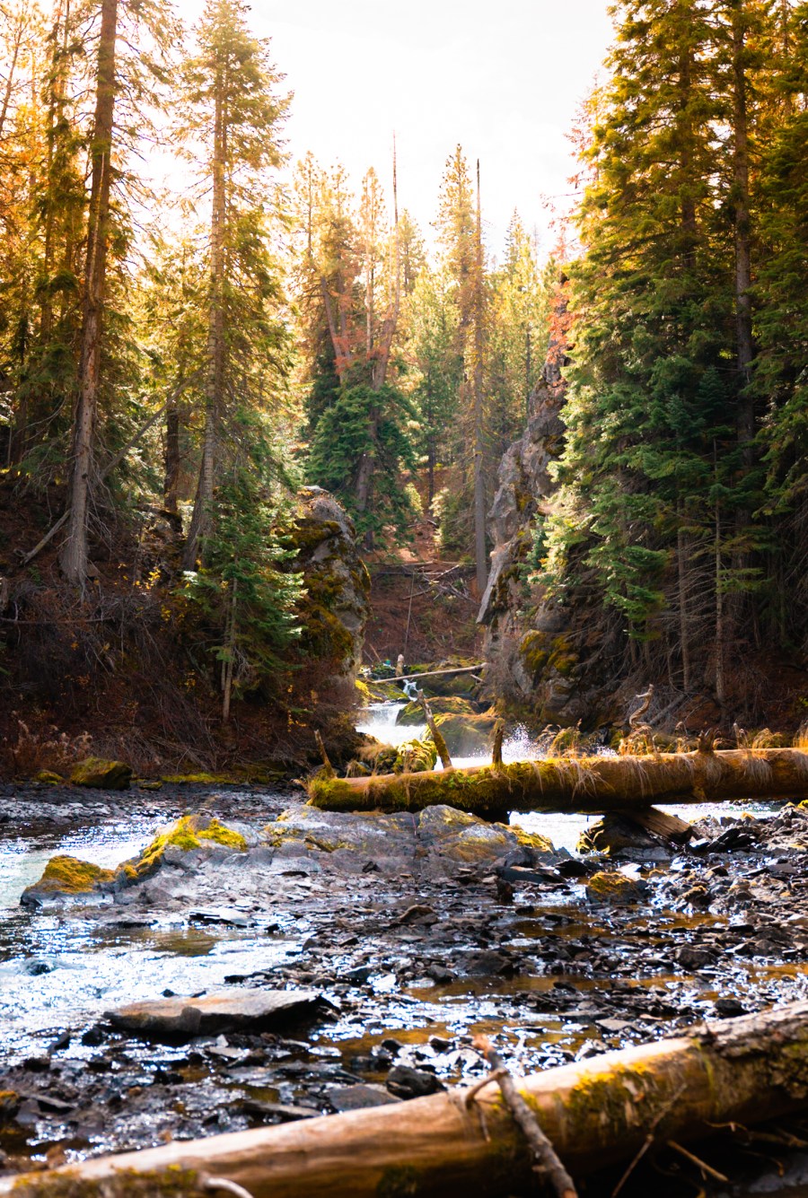 Embark on a Family Adventure: Unveiling the Wonders of Bend, Oregon ...