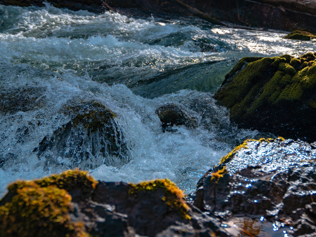 Embark on a Family Adventure: Unveiling the Wonders of Bend, Oregon ...