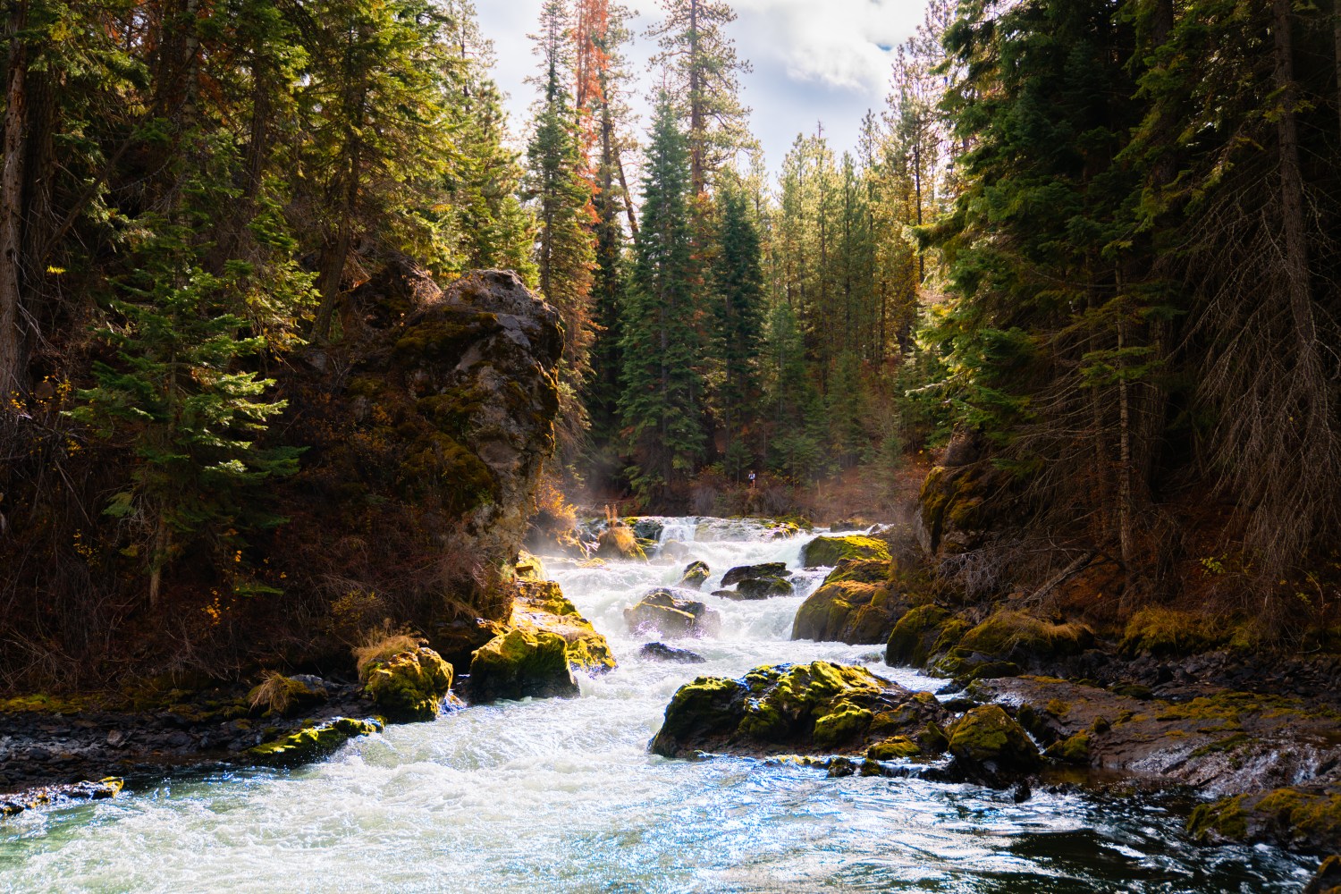 Embark on a Family Adventure: Unveiling the Wonders of Bend, Oregon ...