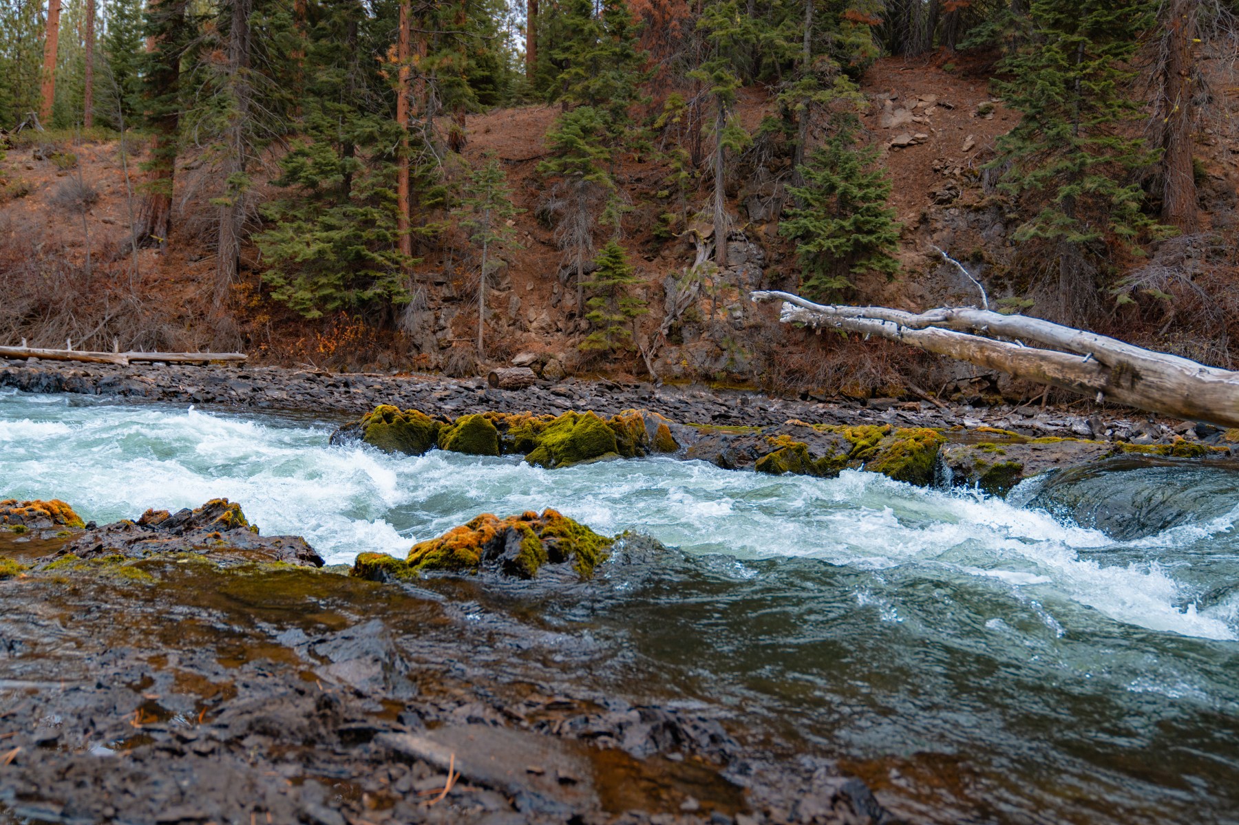 Embark on a Family Adventure: Unveiling the Wonders of Bend, Oregon ...