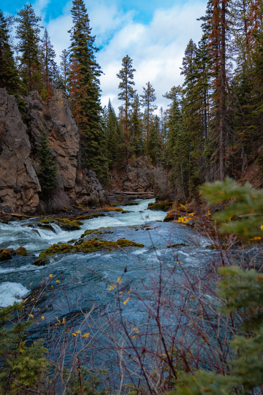Embark on a Family Adventure: Unveiling the Wonders of Bend, Oregon ...