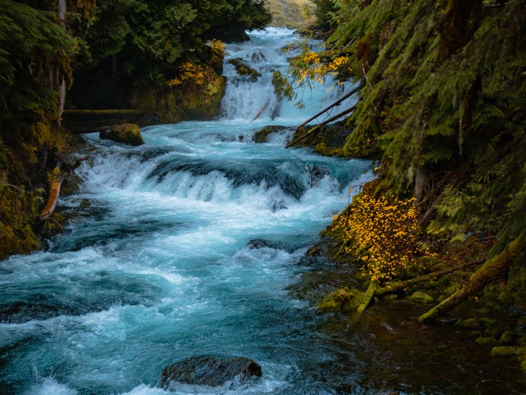 Embark on a Family Adventure: Unveiling the Wonders of Bend, Oregon ...